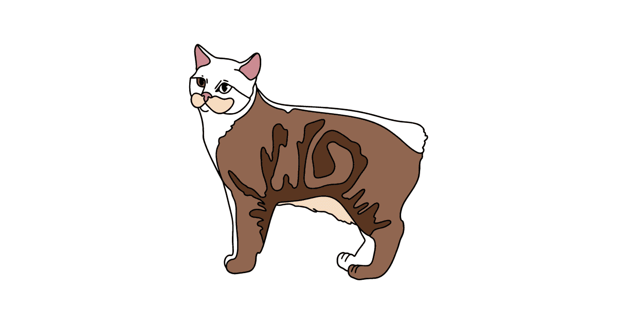 Manx Cat coloring page ♥ Online and Print for Free!