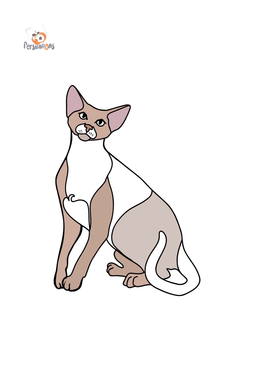 Oriental Shorthair Cat coloring page ♥ Online and Print for Free!