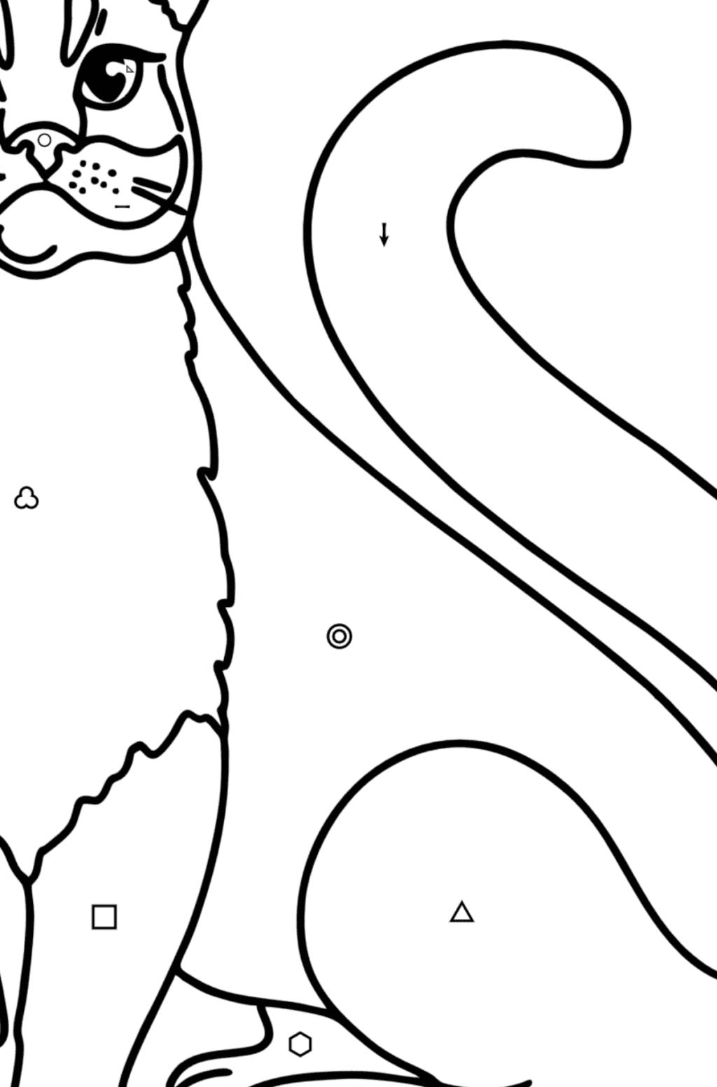 Russian Blue Cat coloring page ♥ Online and Print for Free!