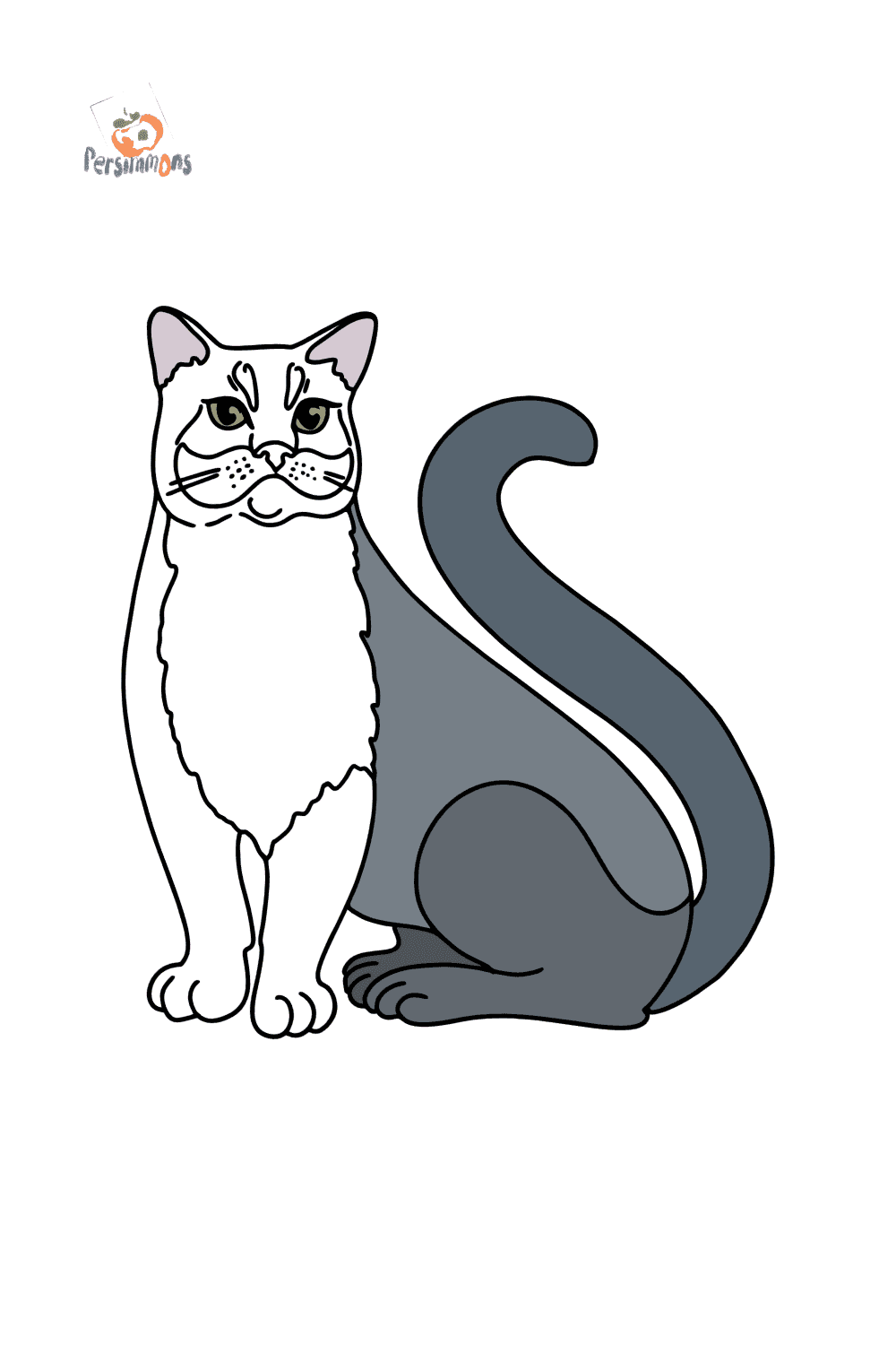 Desen de colorat pisica albastra ruseasca ♥ Online și Imprimați!