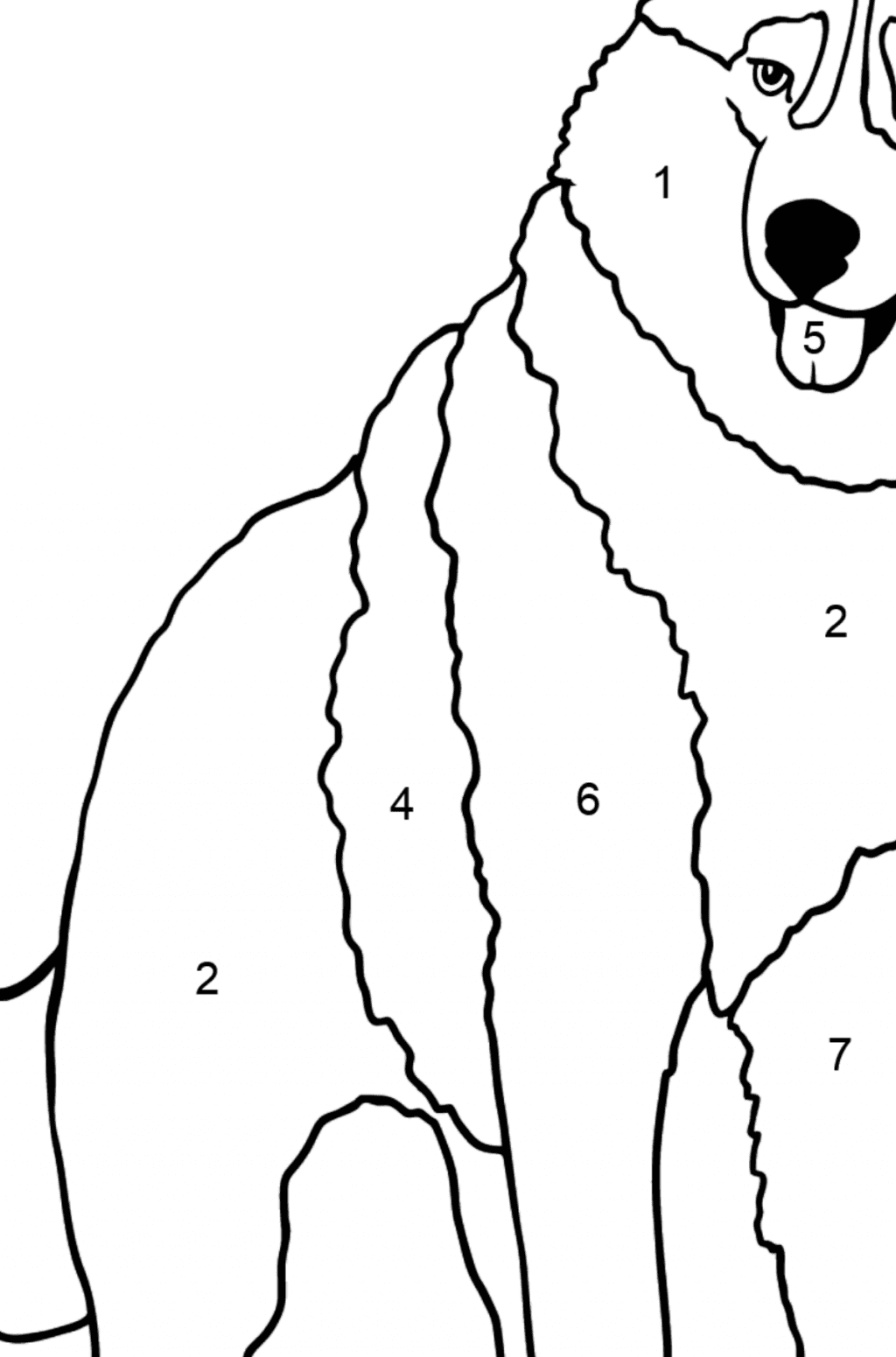 Husky coloring page ♥ Print for Free!