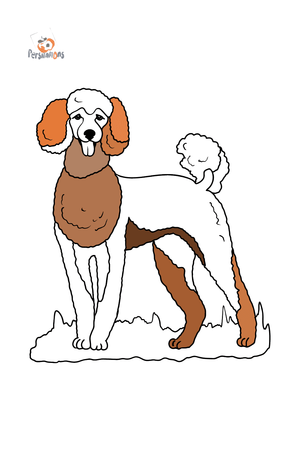 Kolorowanka Pudel dla dzieci ♥ Drukowanie za Darmo i Online!