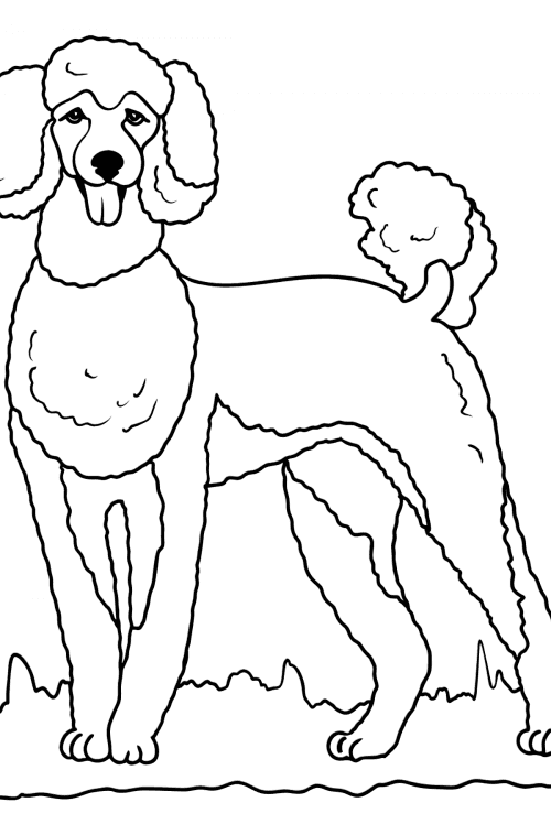 Mewarnai gambar anjing - Unduh, cetak, online untuk anak-anak!