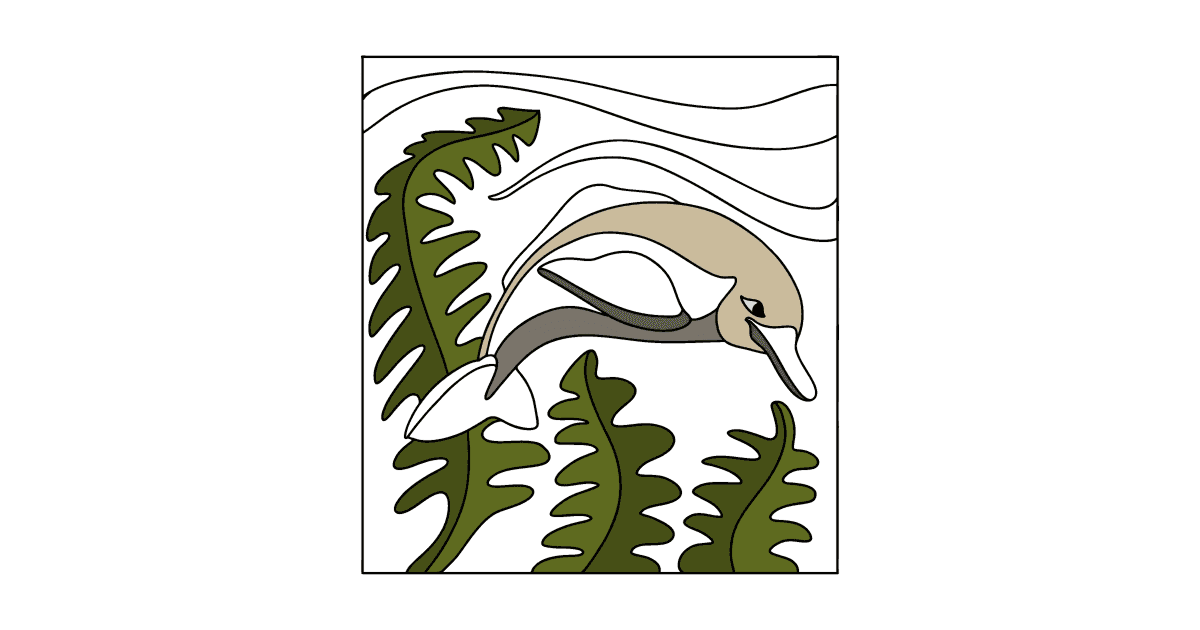 Tegning til farvning kinesisk floddelfin ♥ Online og Print gratis!