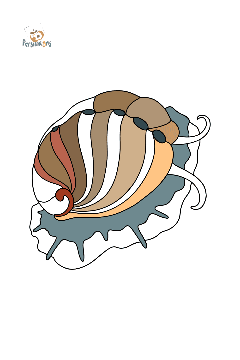 Mollusk abalone coloring page ♥ Online and Print for Free!