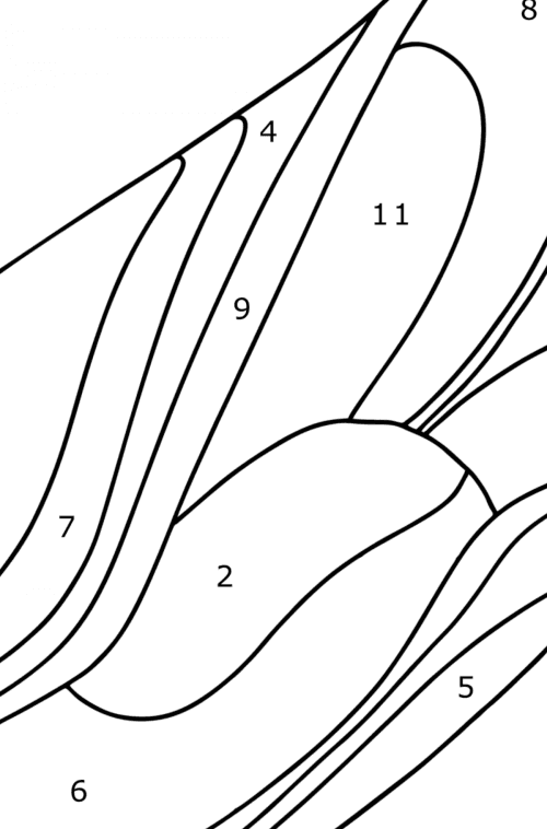 Mussel coloring page for Kids ♥ Online and Print for Free!