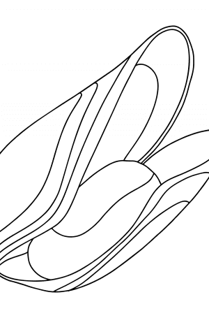 Ausmalbild Muschel für Kinder ♥ Kostenlos Drucken und Online!