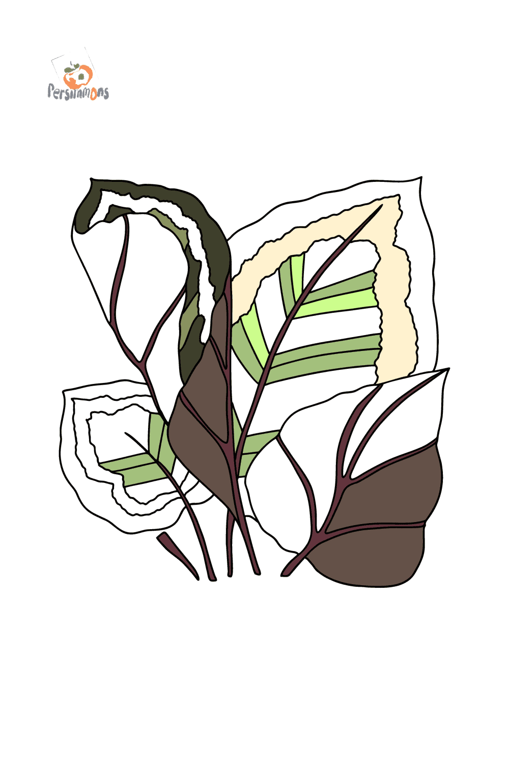 Arrowroot coloring page ♥ Online and Print for Free!