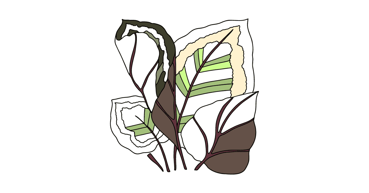 Arrowroot coloring page ♥ Online and Print for Free!