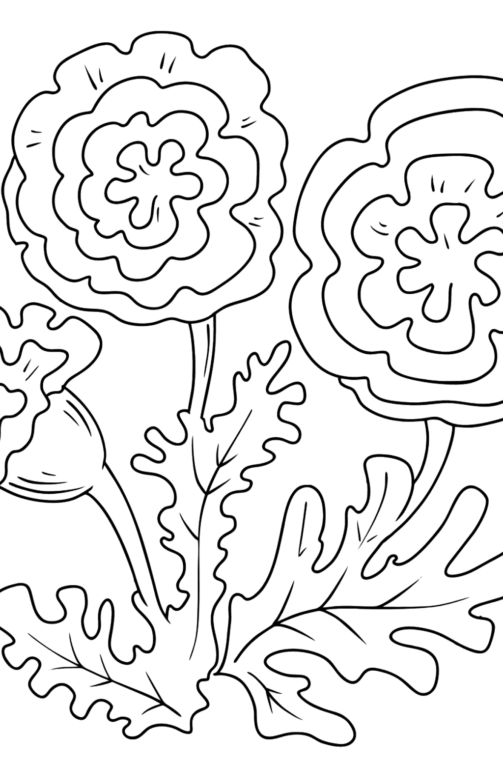Coloring Page - Autumn flowers ♥ Online and Print for Free!