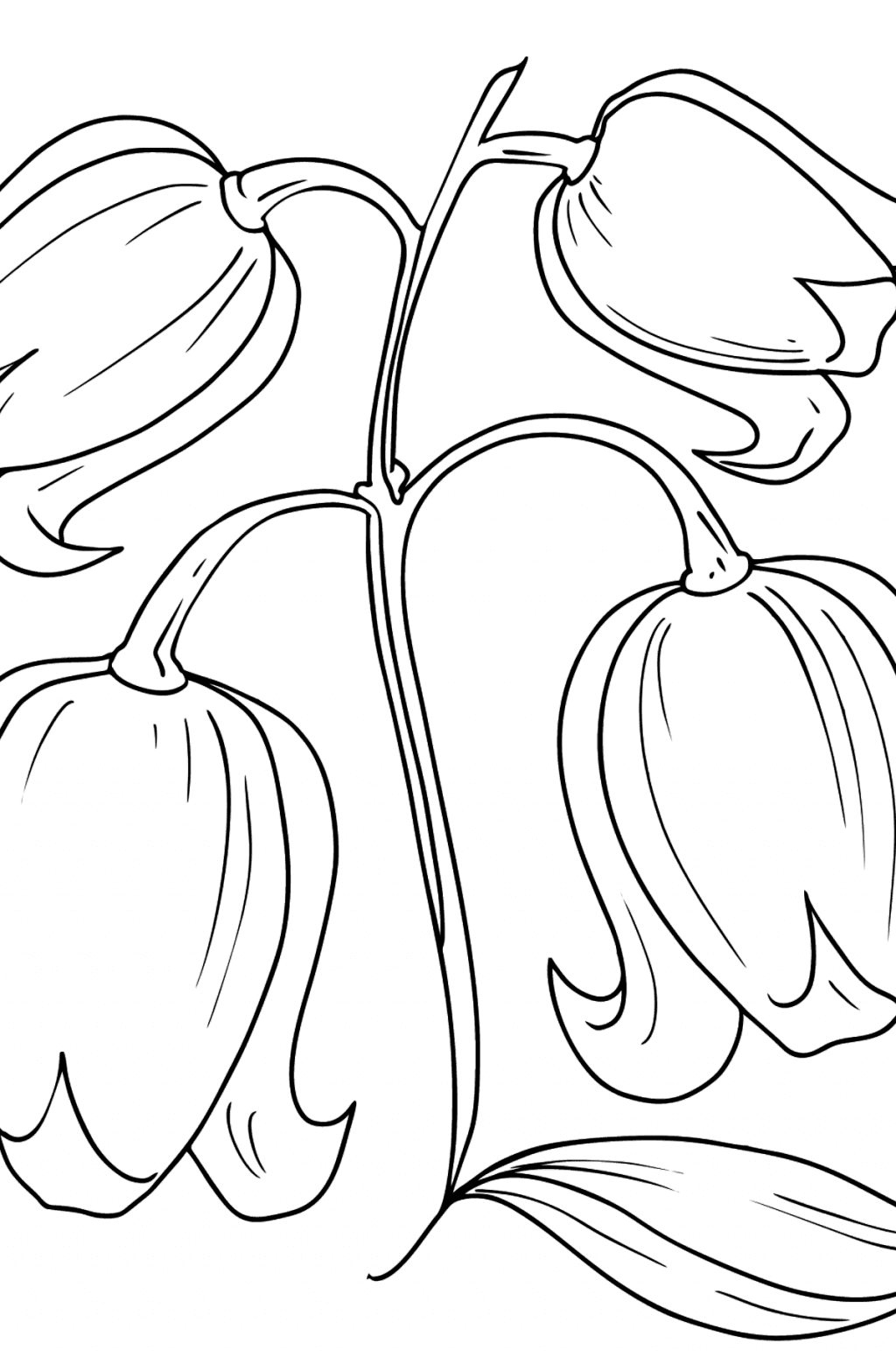 Flower Coloring Page - Beautiful bells ♥ Online and Print for Free!