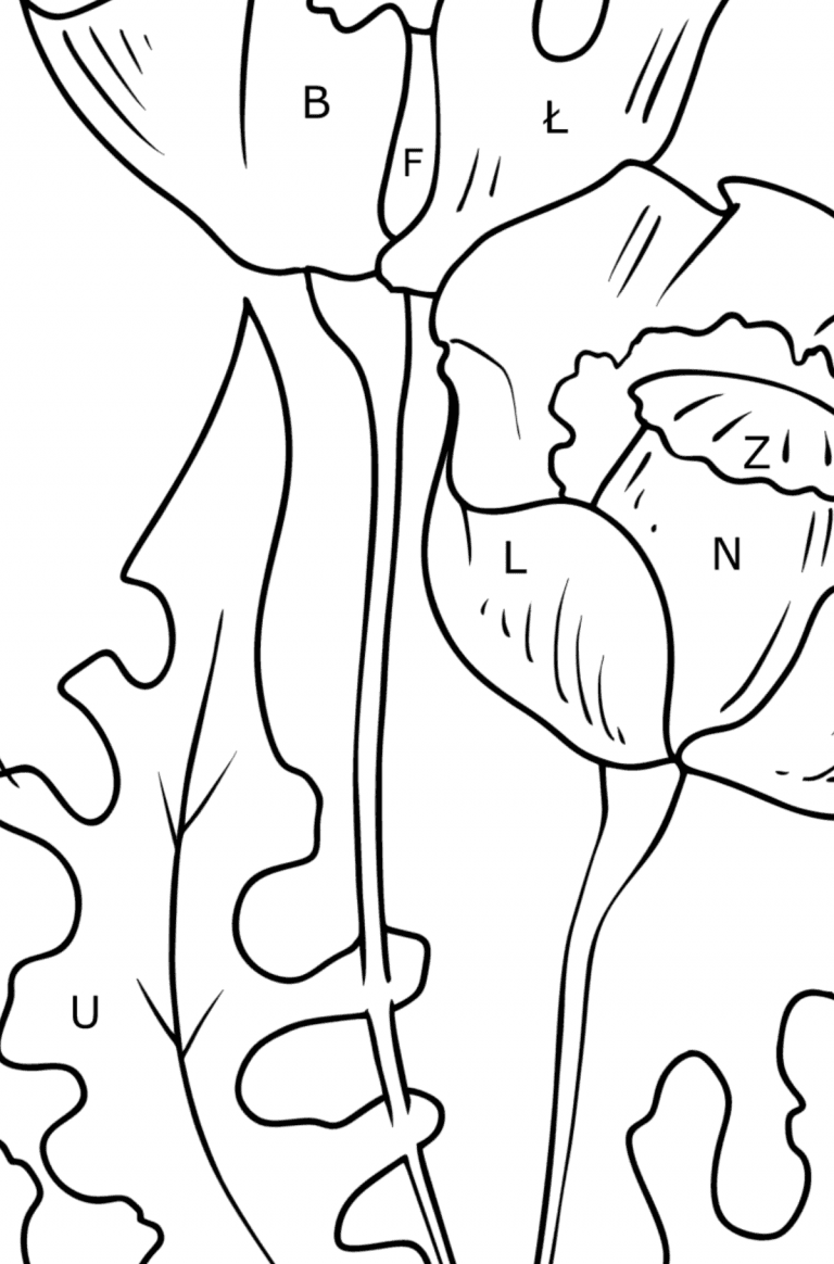 Kolorowanka Piękne maki dla dzieci | Coloring-for-Kids.com