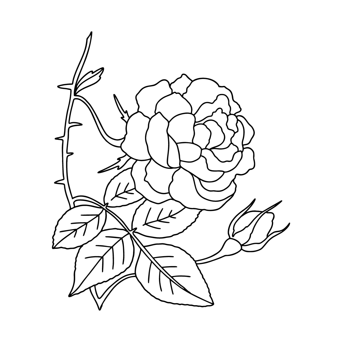 Ausmalbild Kletterrose rot ♥ Kostenlos Drucken und Online!