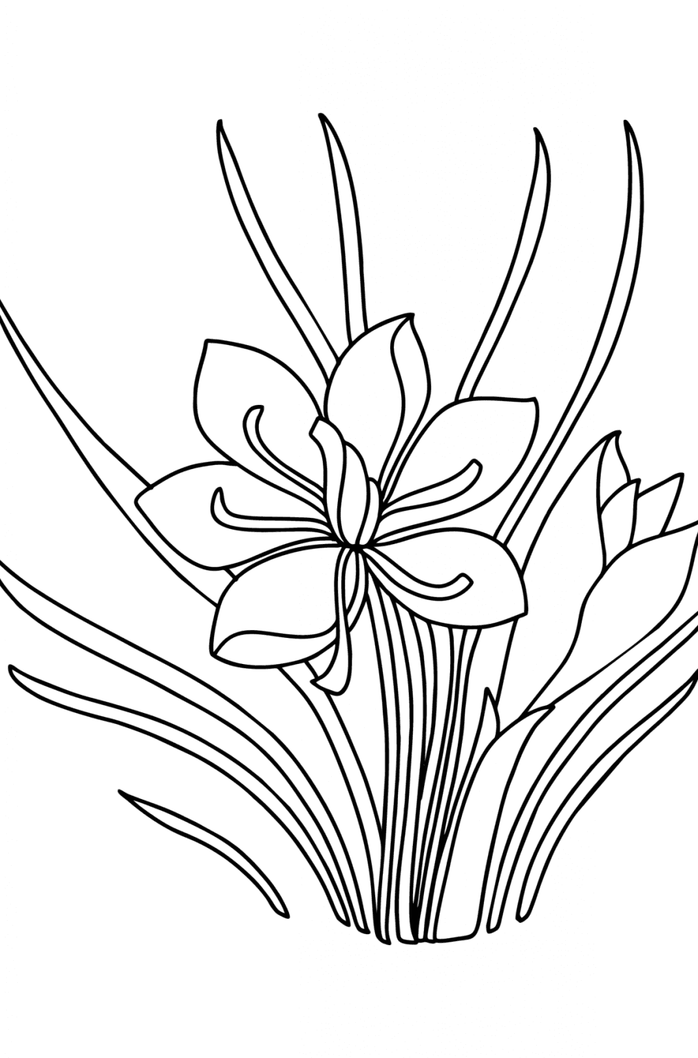 Mewarnai gambar bunga-bunga - Unduh, cetak, online untuk anak-anak!