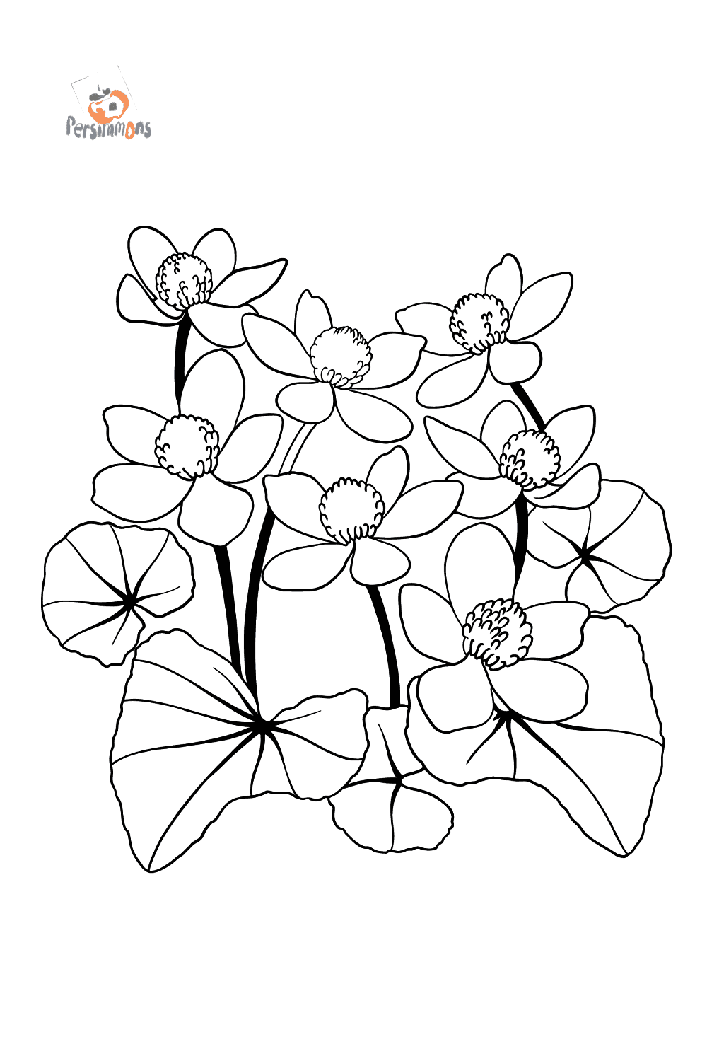 Coloring Page Marsh Marigold ♥ Online and Print for Free!