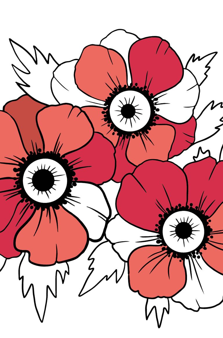 Imprime una Dibujo para Colorear una Hermosa Flor - Hepatica