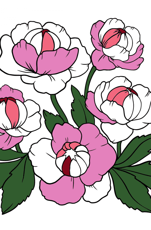 Imprime una Dibujo para Colorear una Hermosa Flor - Hepatica