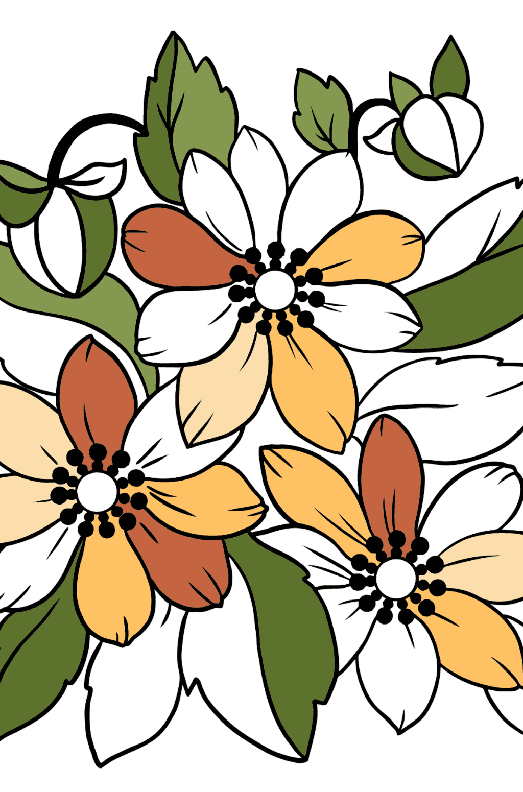 Imprime una Dibujo para Colorear una Hermosa Flor - Hepatica