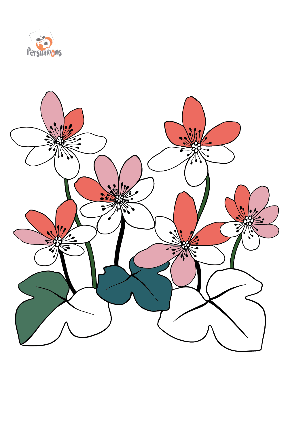Flower Coloring Page - Hepatica ♥ Online and Print for Free!