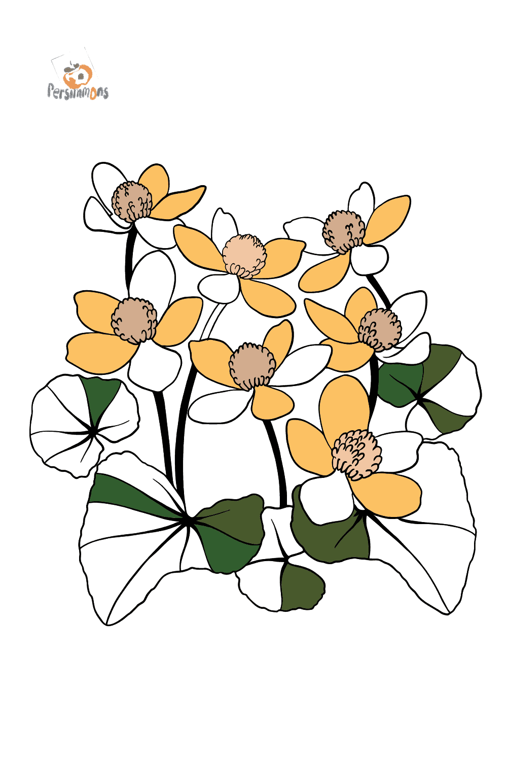 Flower Coloring Page - Marsh Marigold ♥ Online and Print for Free!