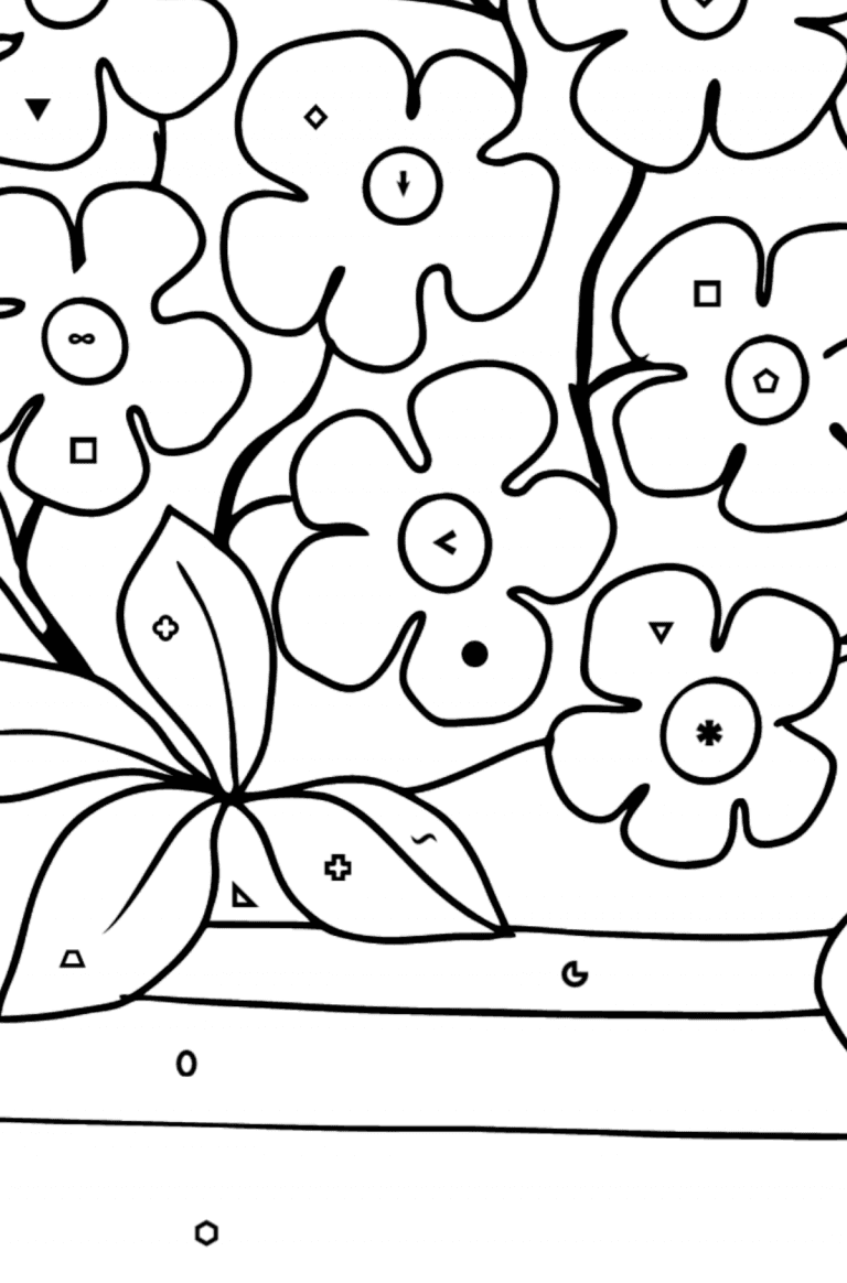 Flower Coloring Page - Forget me nots ♥ Online and Print for Free!
