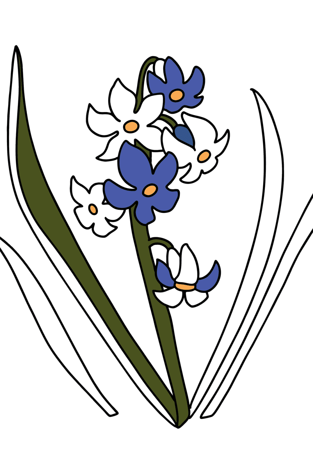 Flower Coloring Page - Forget me nots ♥ Online and Print for Free!