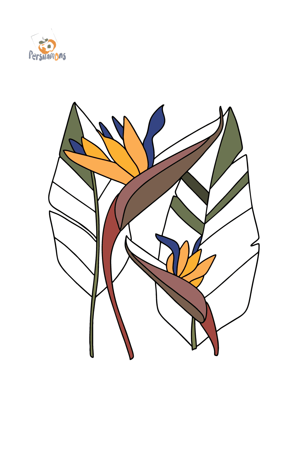Strelitzia coloring page ♥ Online and Print for Free!