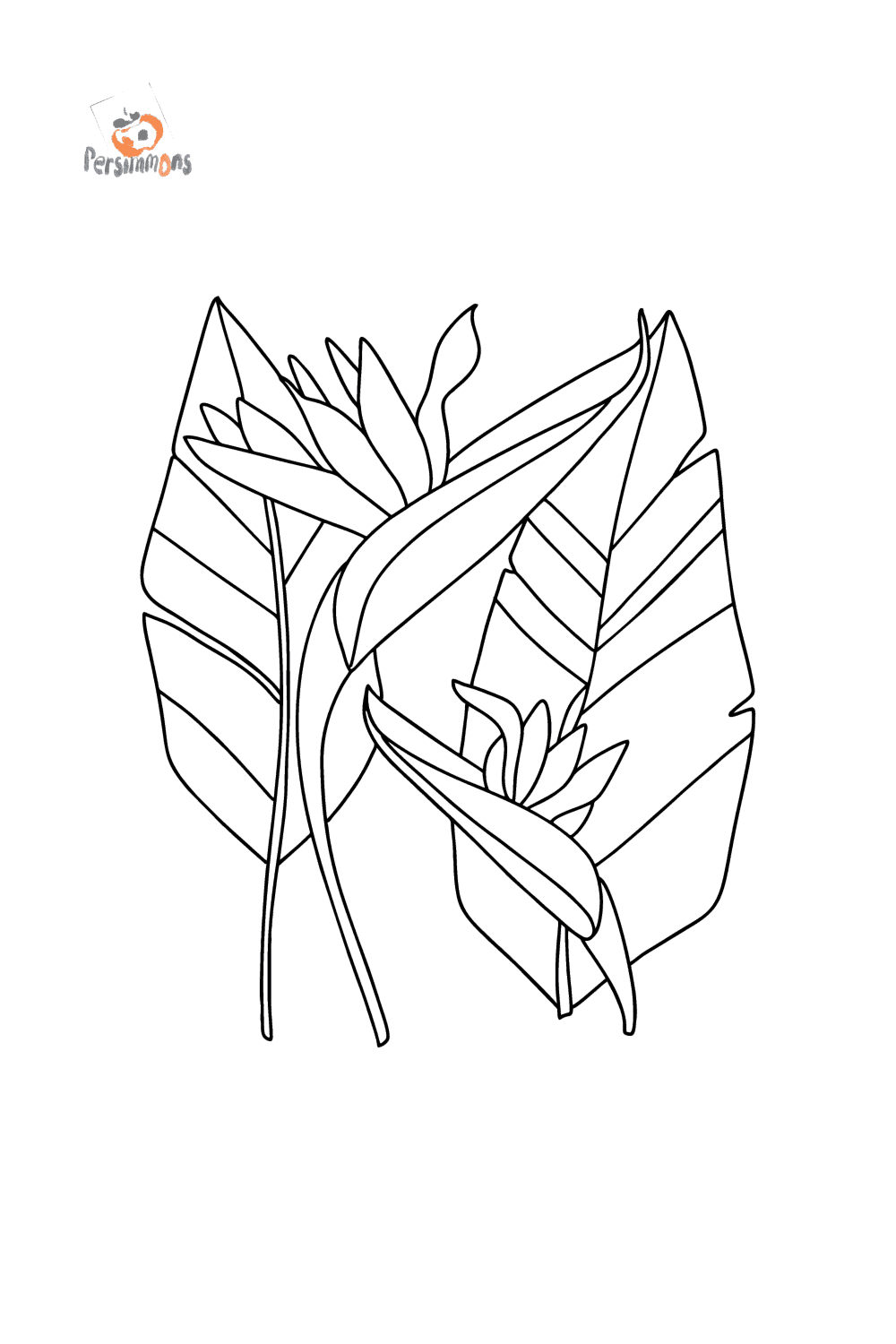 Strelitzia coloring page ♥ Online and Print for Free!