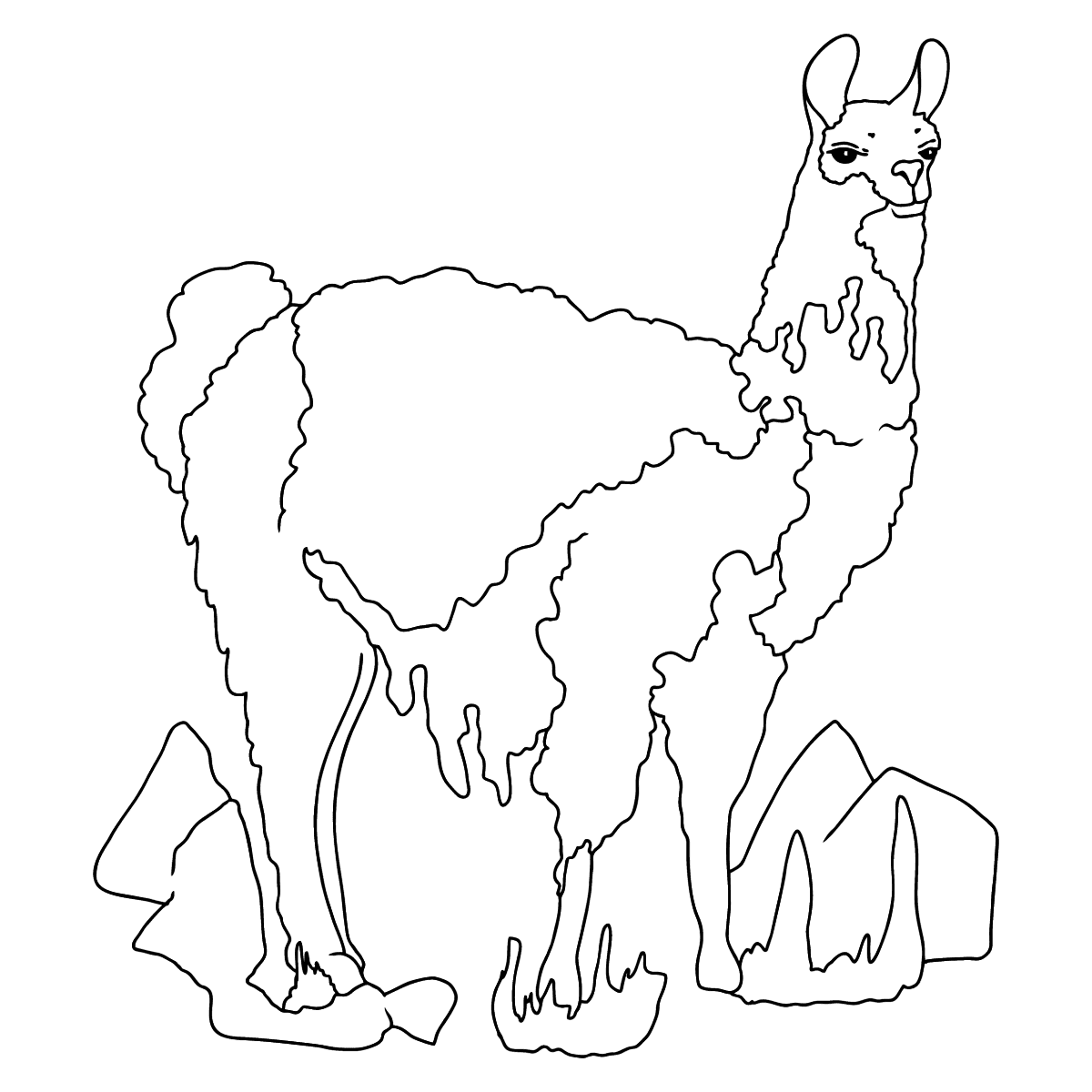 Coloring Page - A Lama is Inspecting the Area ♥ Online for Free!