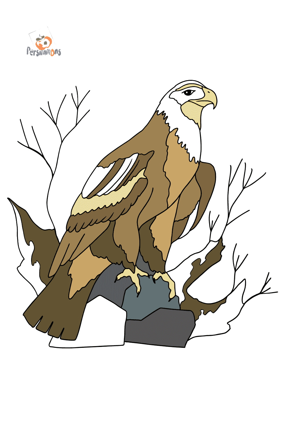 coloring-page-an-eagle-is-looking-for-prey-online-for-free