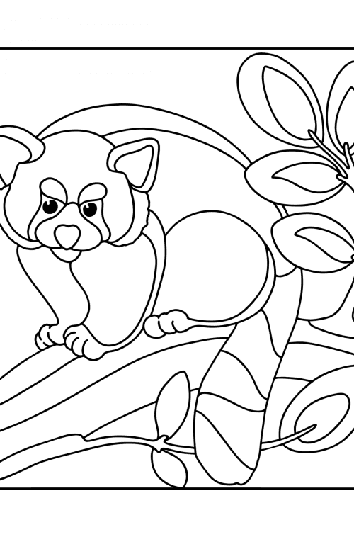 Desene de colorat panda ♥ Descărcați, imprimați, online!