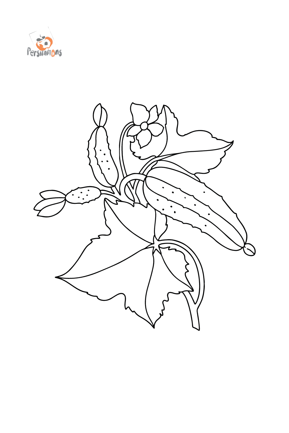 Cucumbers on a branch сoloring page ♥ Online and Print for Free!