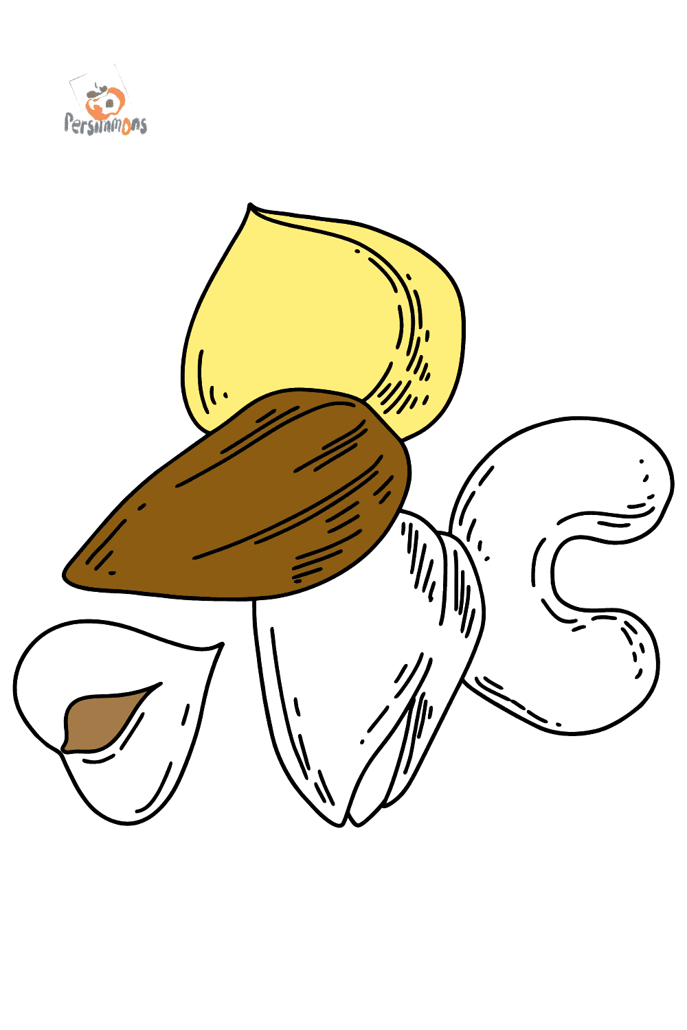 Nuts coloring page for kids ♥ Online or Printable for Free!
