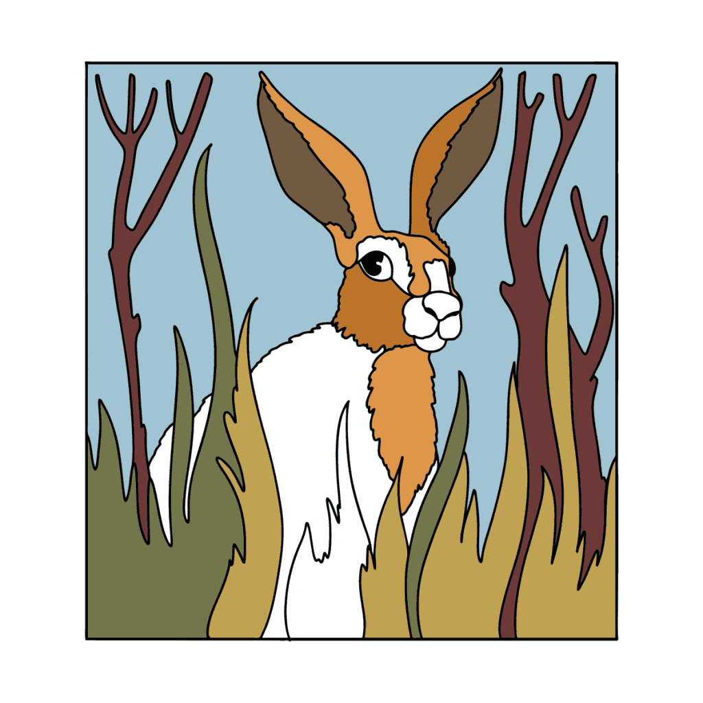 Coloring Pages for Children 11-12 Years Old - Printable for Free!