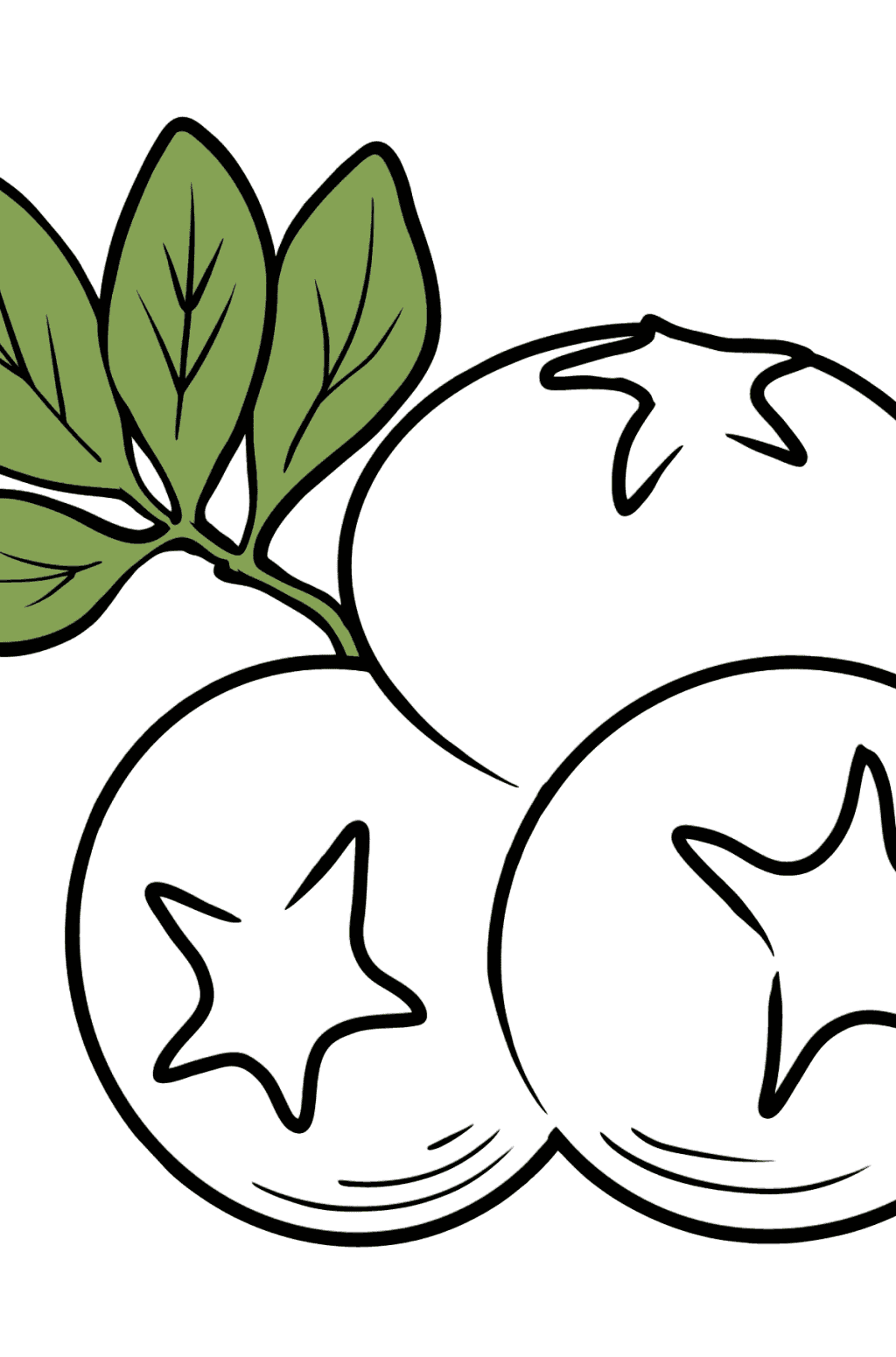 Star Fruit coloring page ♥ Online and Print Free!