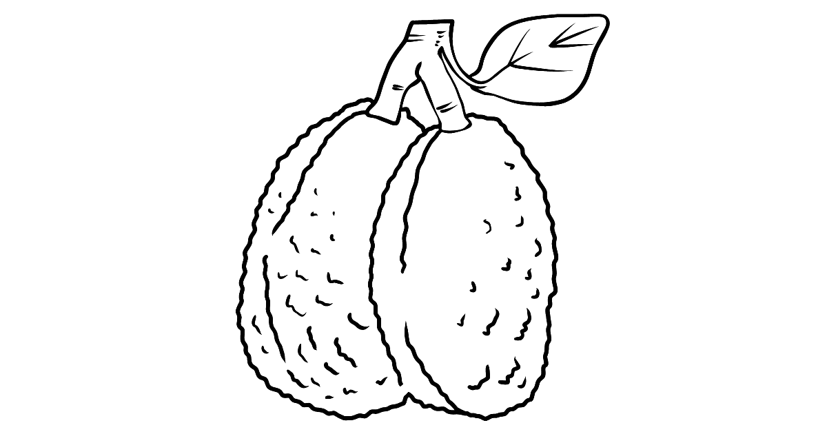 Breadfruit coloring page for kids ♥ Online and Print for Free!