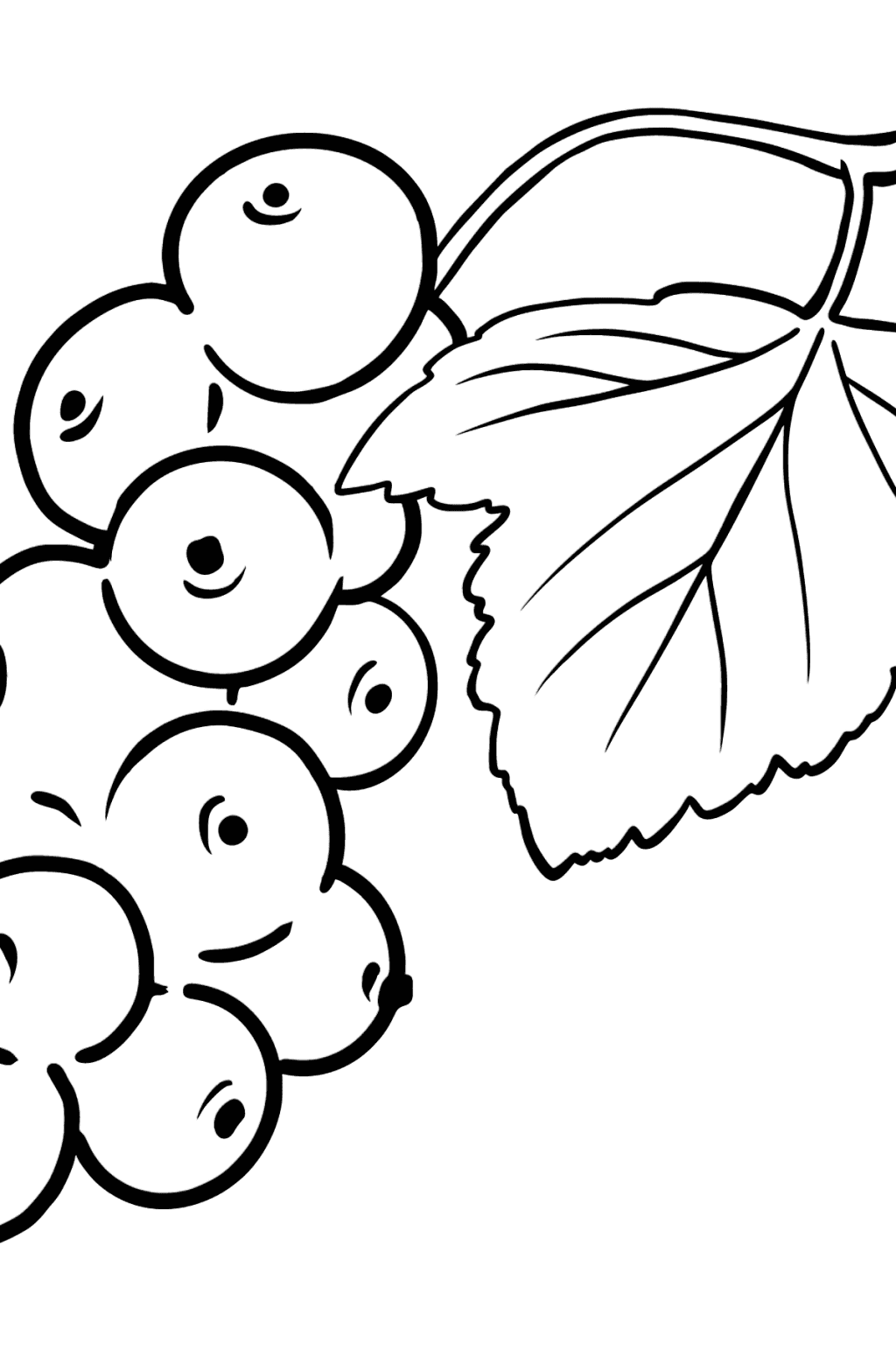 Currant coloring page for kids ♥ Online and Print for Free!