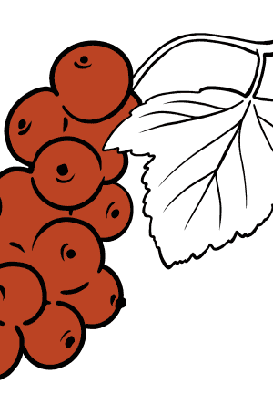 Rambutan coloring page for kids ♥ Online and Print for Free!