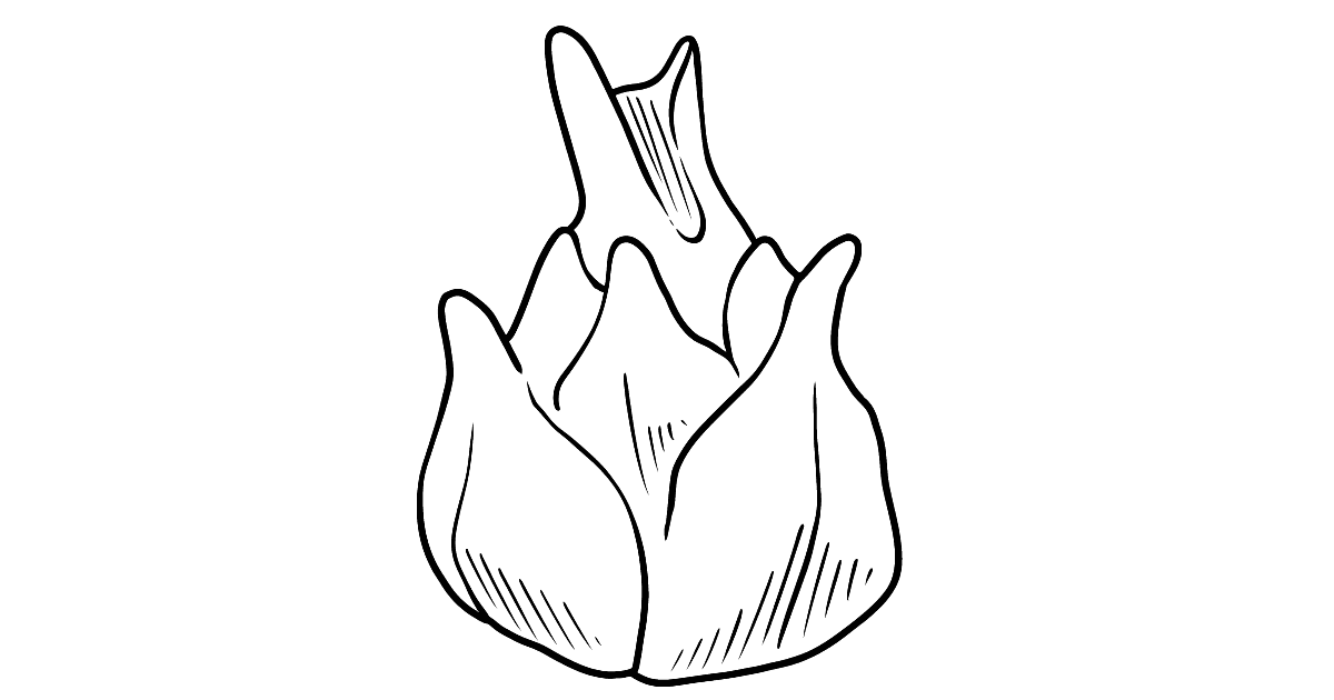 Dragon Fruit coloring page for kids ♥ Online and Print for Free!