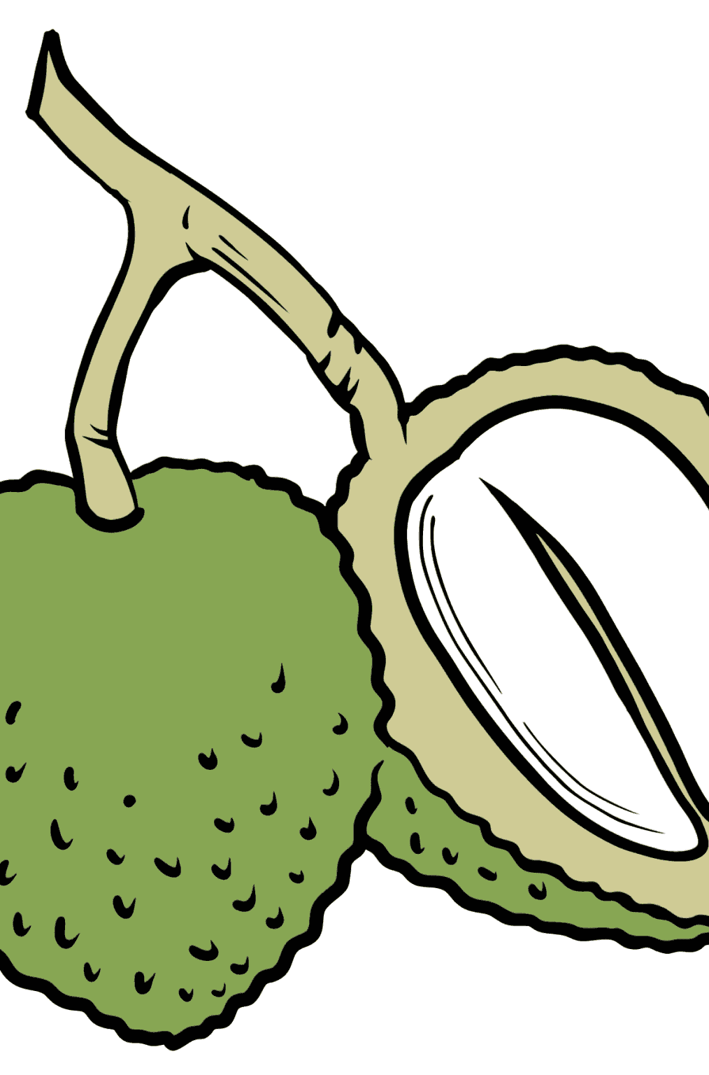 Jackfruit coloring page ♥ Online and Print Free!