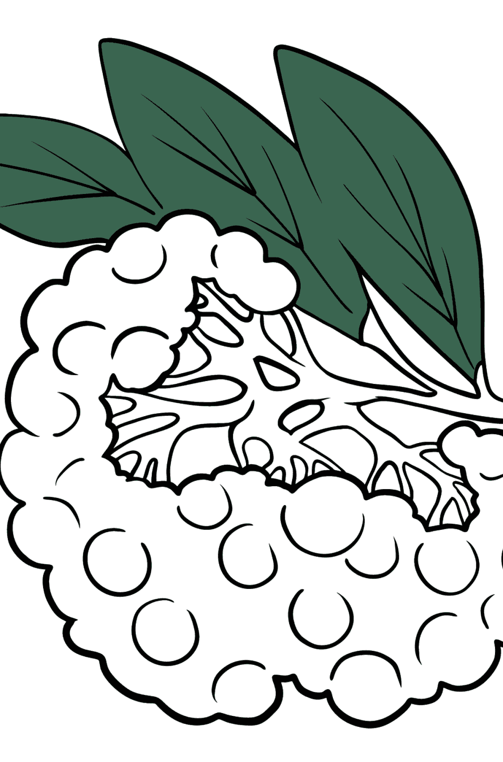 Jackfruit coloring page ♥ Online and Print Free!