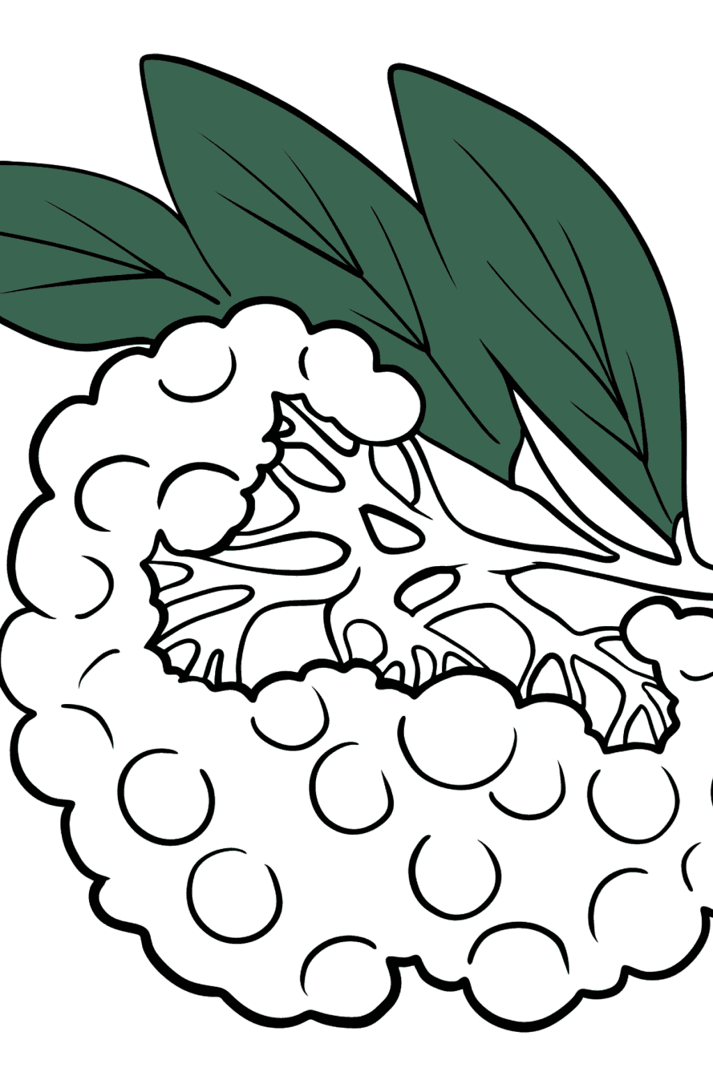 Jackfruit coloring page ♥ Online and Print Free!
