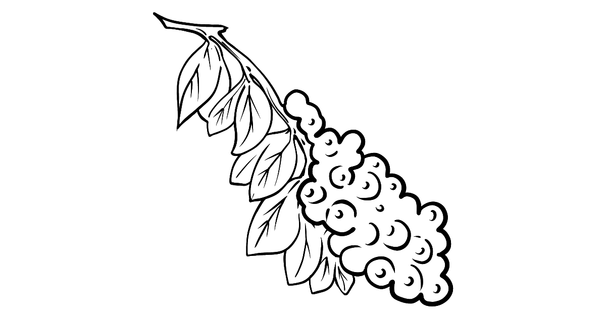 Huckleberry coloring page for kids ♥ Online and Print for Free!