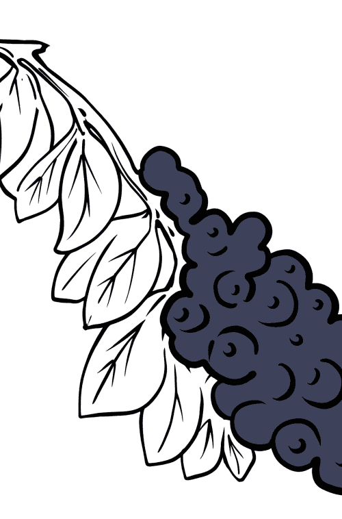 Durian coloring page for kids ♥ Online and Print for Free!