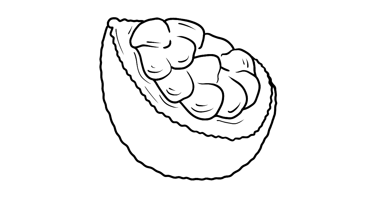 Jackfruit coloring page for kids ♥ Online and Print for Free!