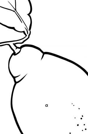 Mewarnai gambar lemon - Online dan Cetak Gratis untuk anak-anak!