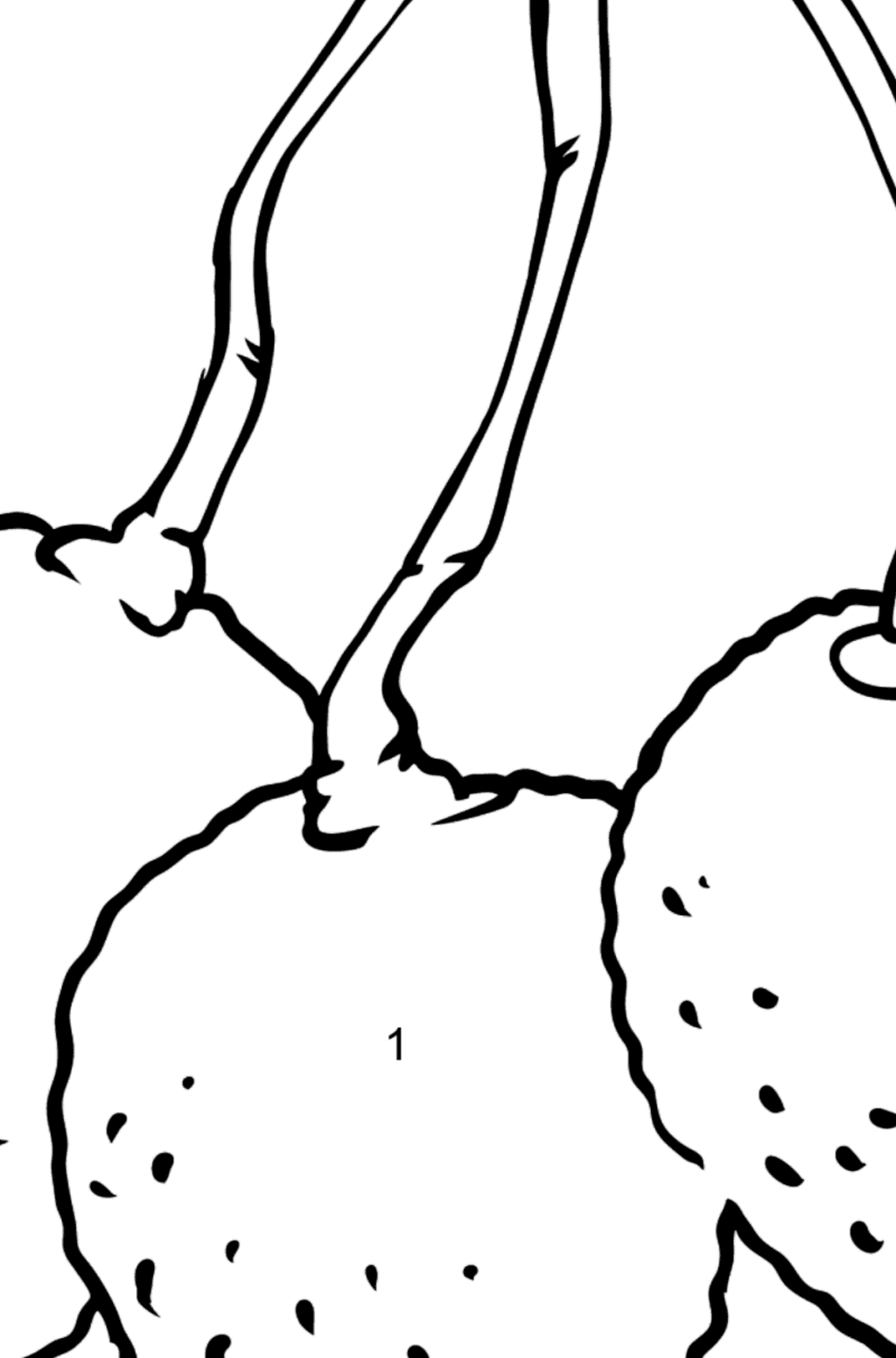 Lychee coloring page for kids ♥ Online and Print for Free!