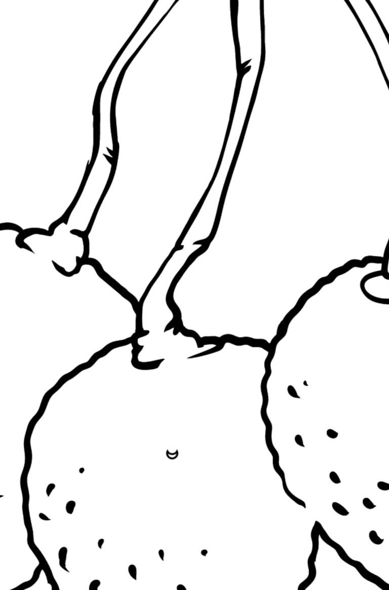 Lychee coloring page for kids ♥ Online and Print for Free!