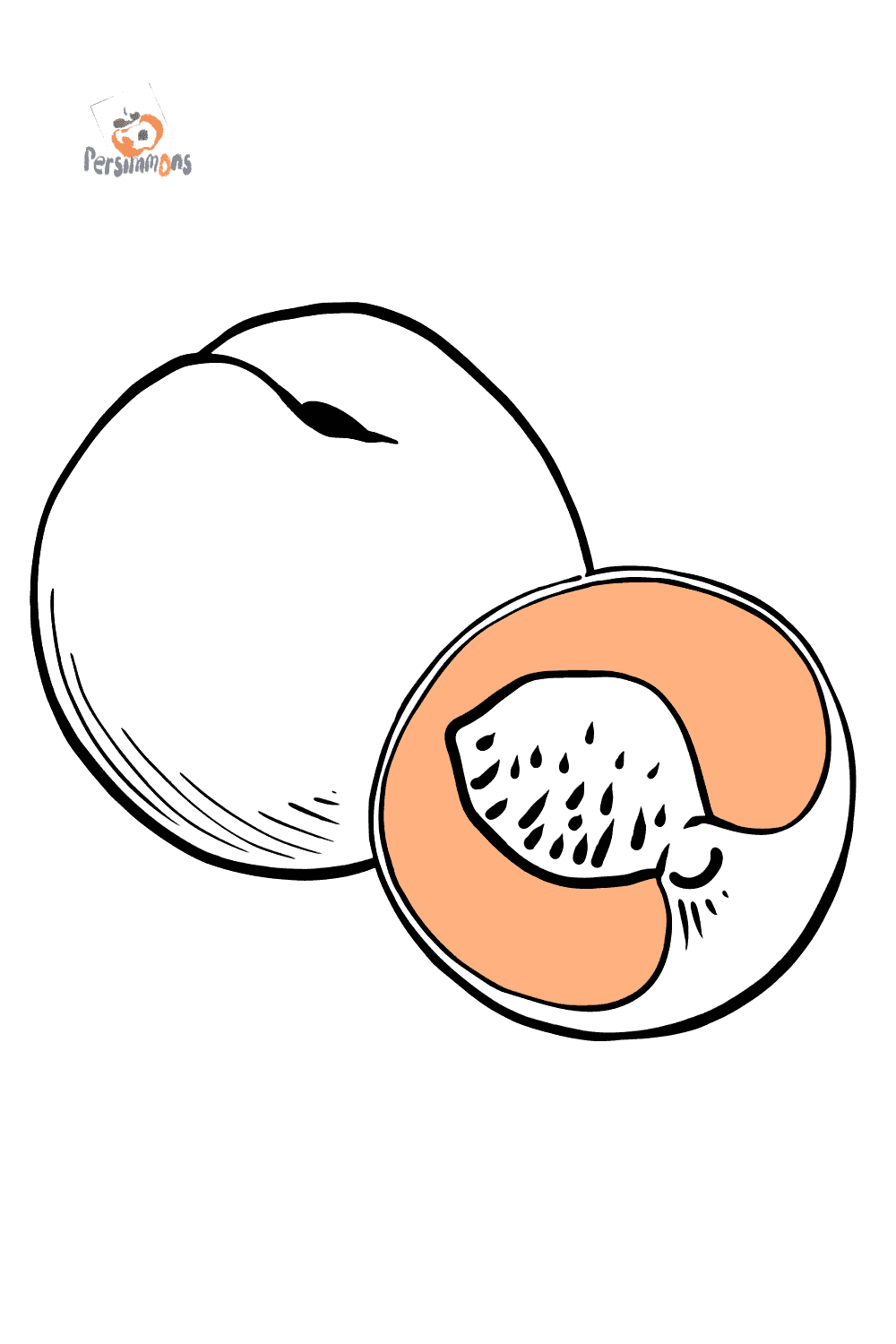 Nectarine coloring page for kids ♥ Online and Print for Free!