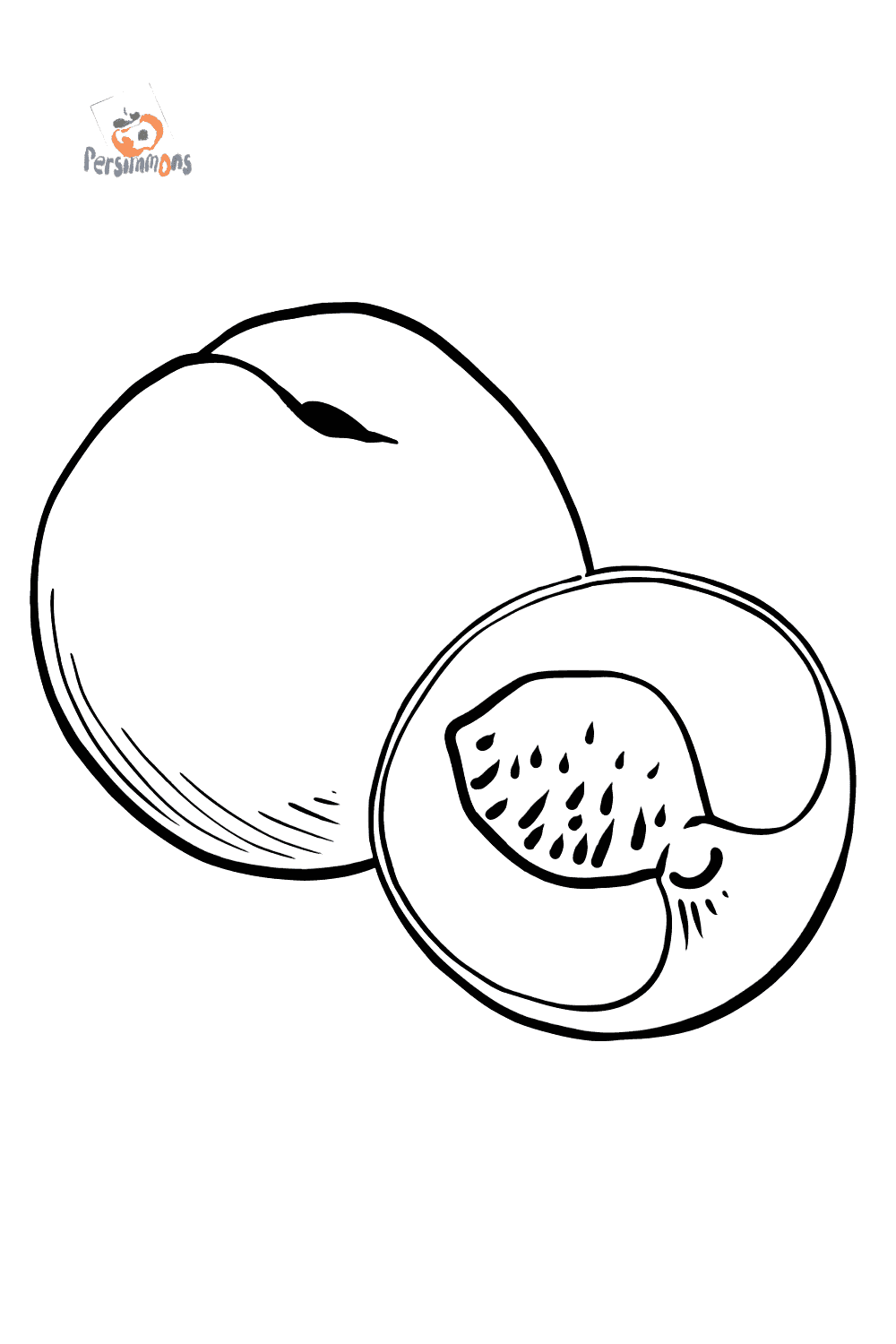 Nectarine coloring page for kids ♥ Online and Print for Free!